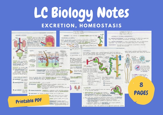 Excretion & Homeostasis Notes Leaving Cert Biology - Etsy