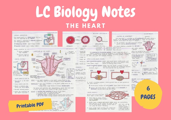 The Heart Notes Leaving Cert Biology - Etsy