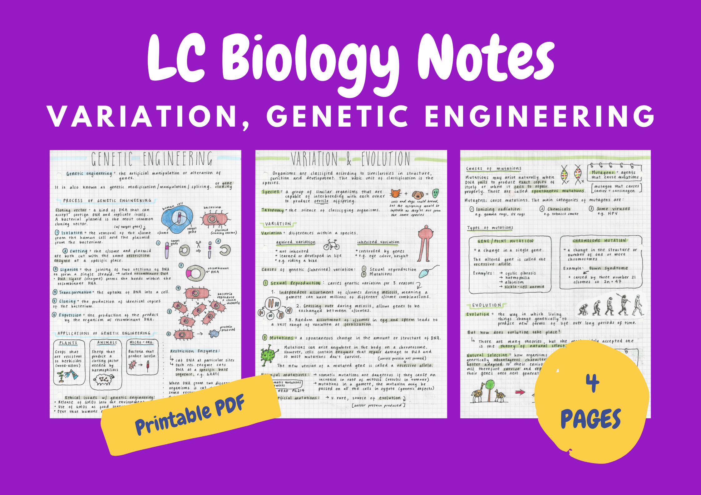 Variation & Genetic Engineering Notes - Leaving Cert Biology - Etsy