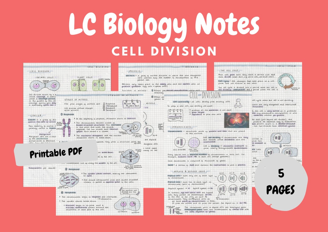 Cell Division Notes - Leaving Cert Biology - Etsy