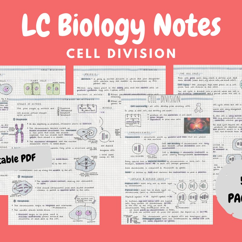 Biology Notes Handwritten - Etsy