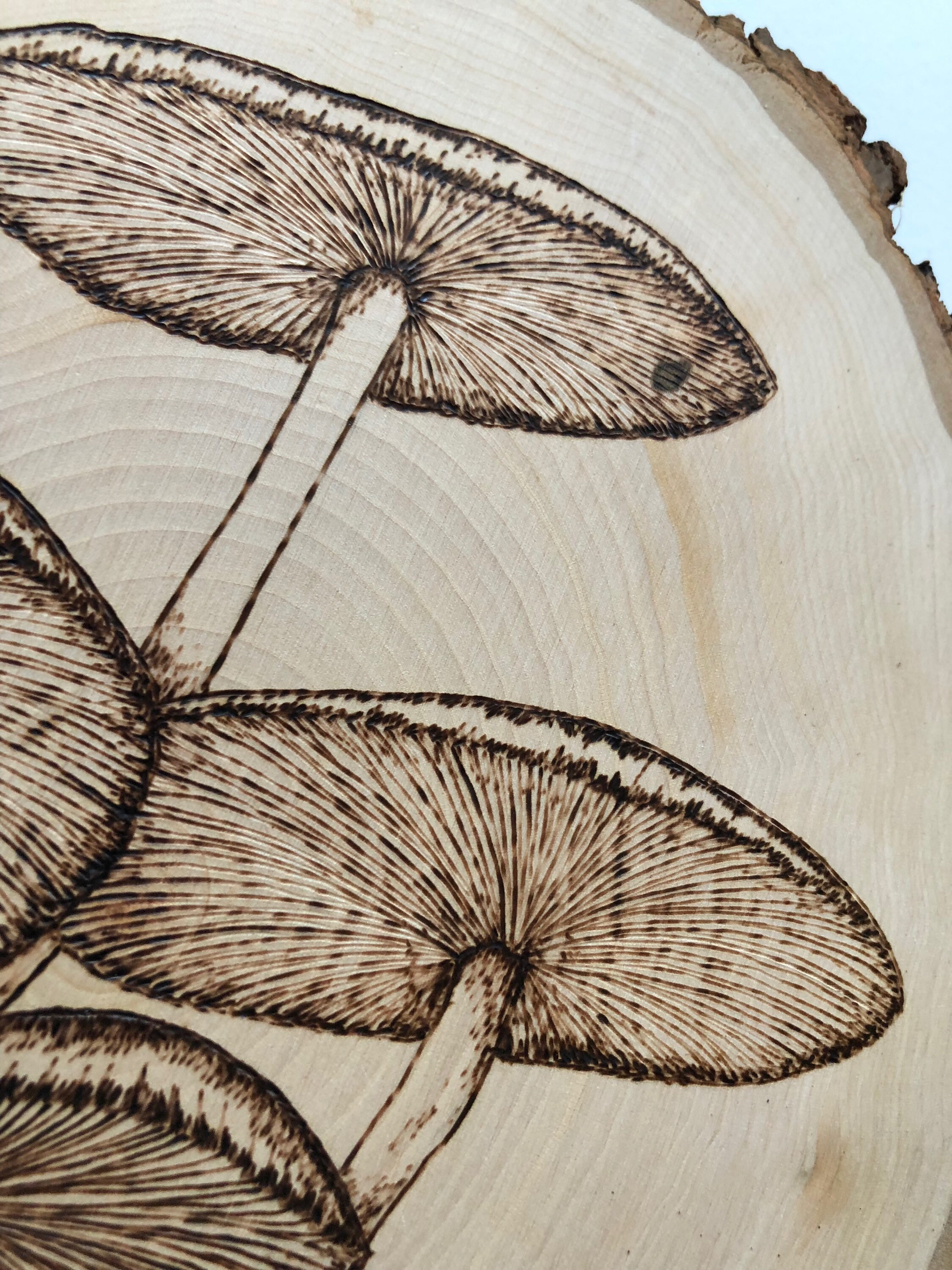 Mushroom Cluster- Mushroom Wood Burning - Etsy