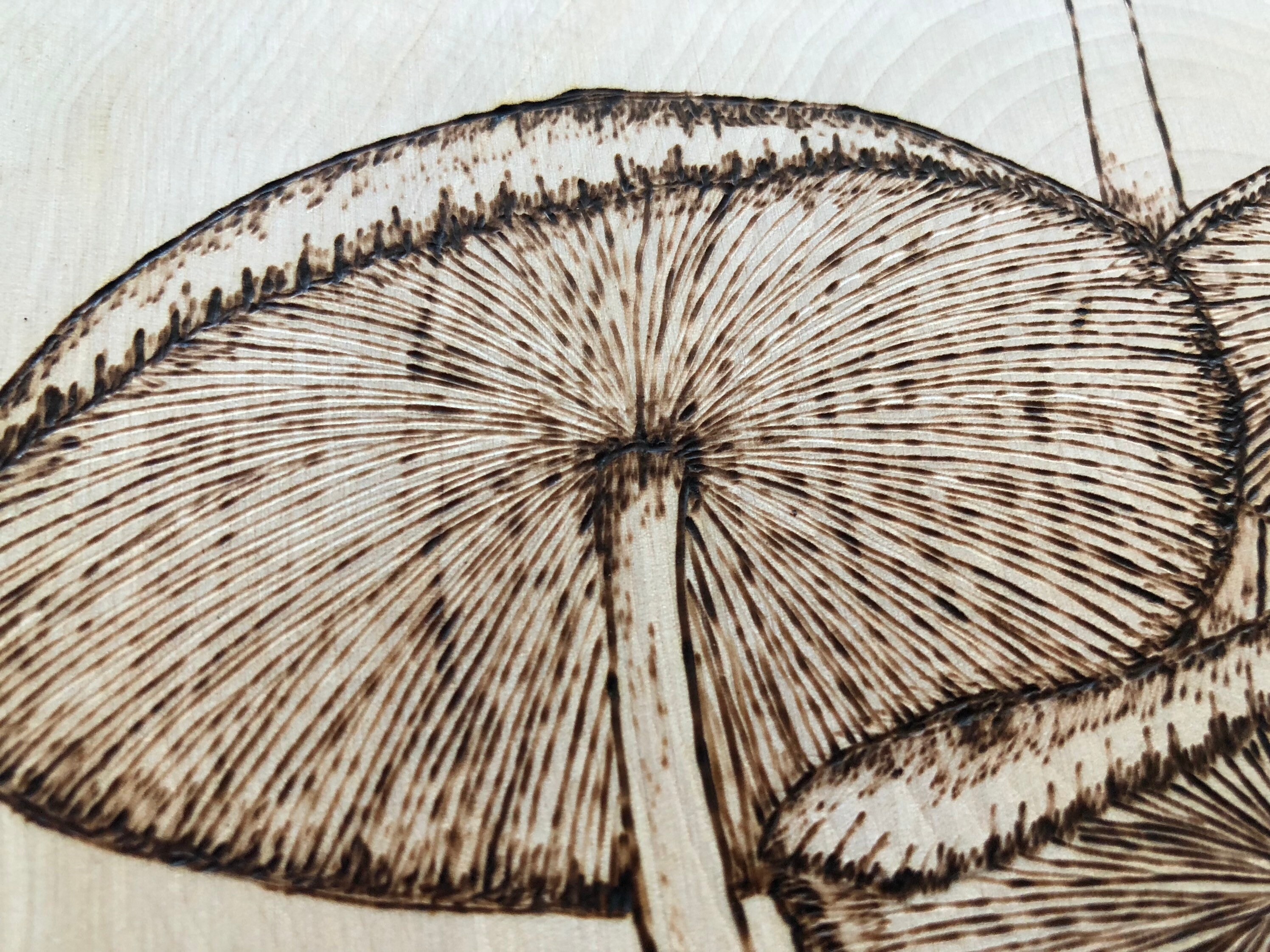 Mushroom Cluster- Mushroom Wood Burning - Etsy