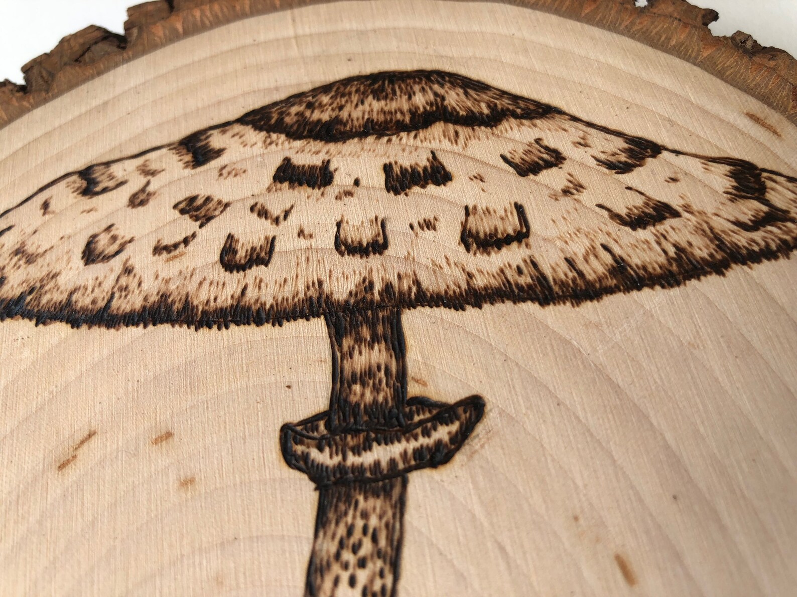Parasol- Mushroom Wood Burning - Etsy