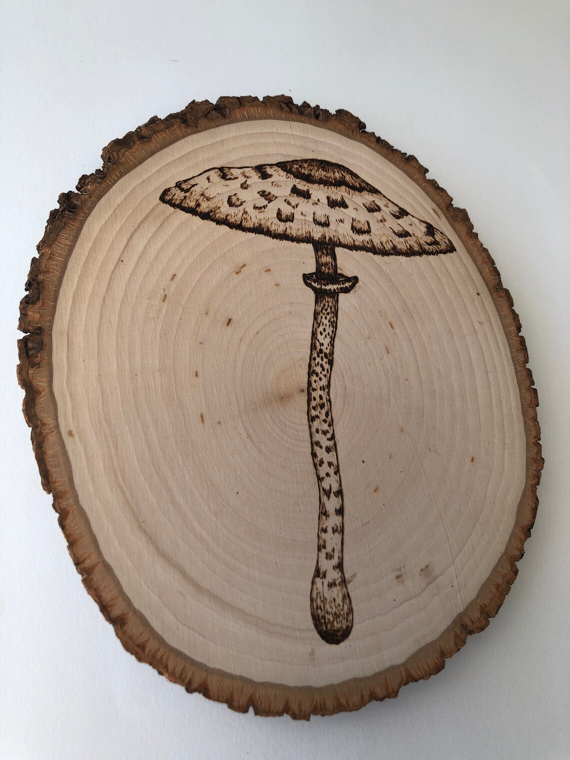 Parasol- Mushroom Wood Burning - Etsy