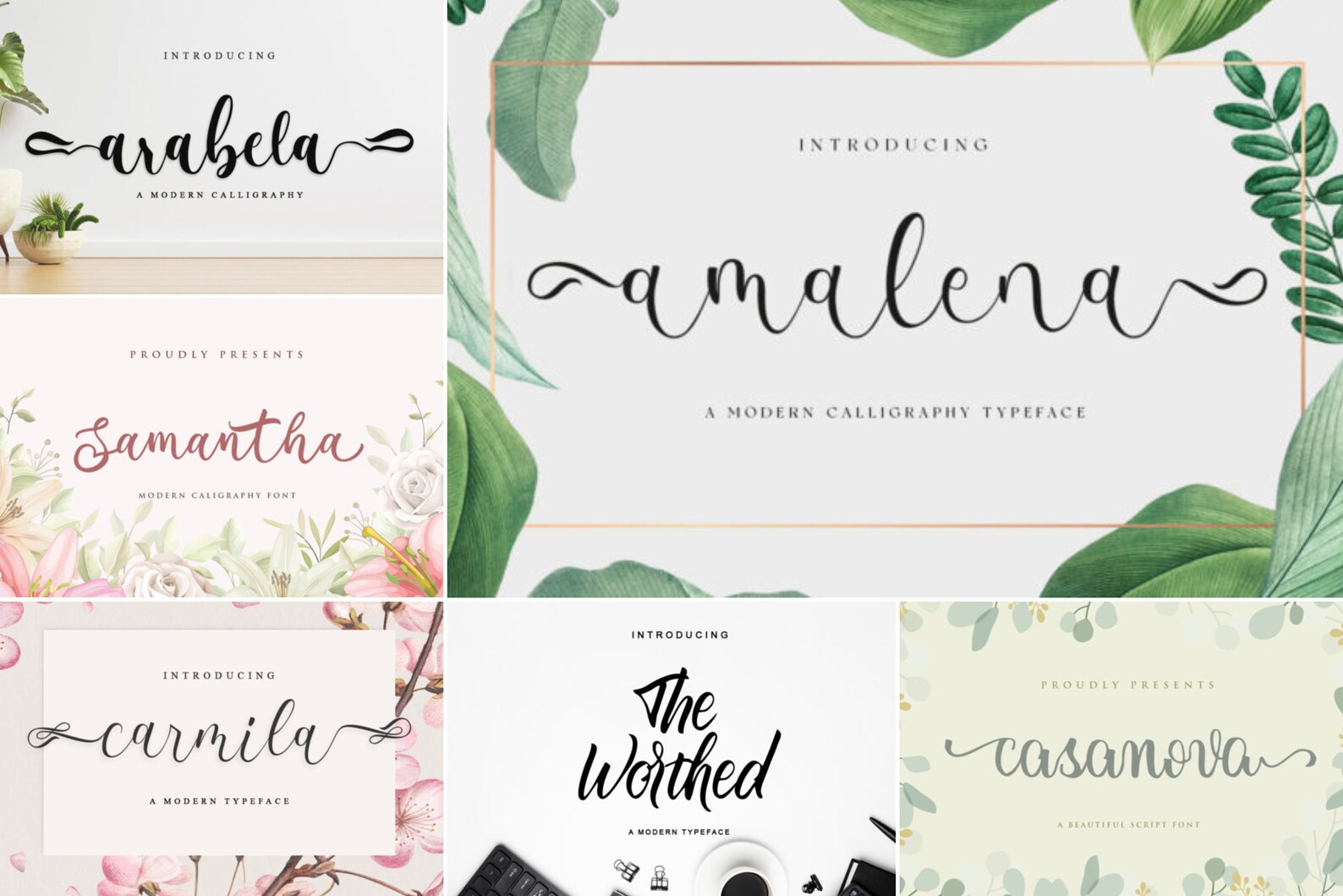 The Special Swashes Font Bundle 75+ Fonts Bundle Collection With Tails ...
