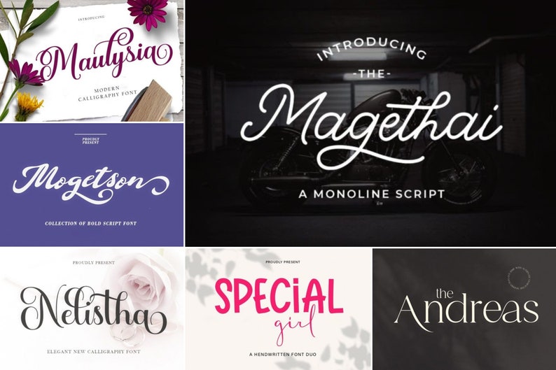 Display & Script Font Bundle Font Bundle, Handwritten Font, Calligraphy Font, Script Font ...
