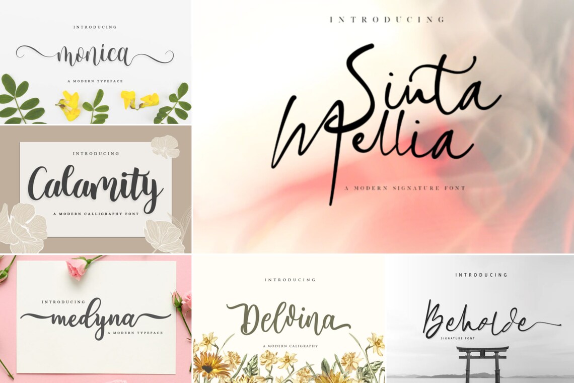 The Special Swashes Font Bundle 75+ Fonts Bundle Collection With Tails ...