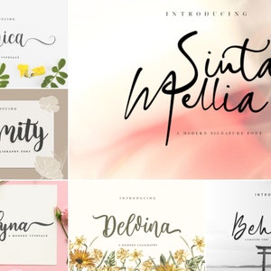 The Special Swashes Font Bundle 75+ Fonts Bundle Collection With Tails ...