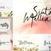 The Special Swashes Font Bundle 75+ Fonts Bundle Collection With Tails ...