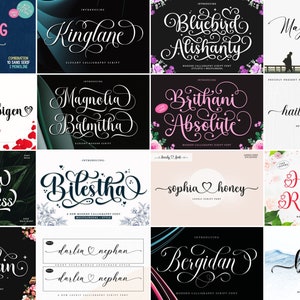 Absolute Font Collection - Font Bundle, Handwritten Font, Calligraphy Font, Script Font, Cricut ...