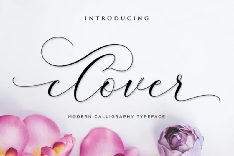 The Special Swashes Font Bundle 75 Fonts Bundle Collection - Etsy
