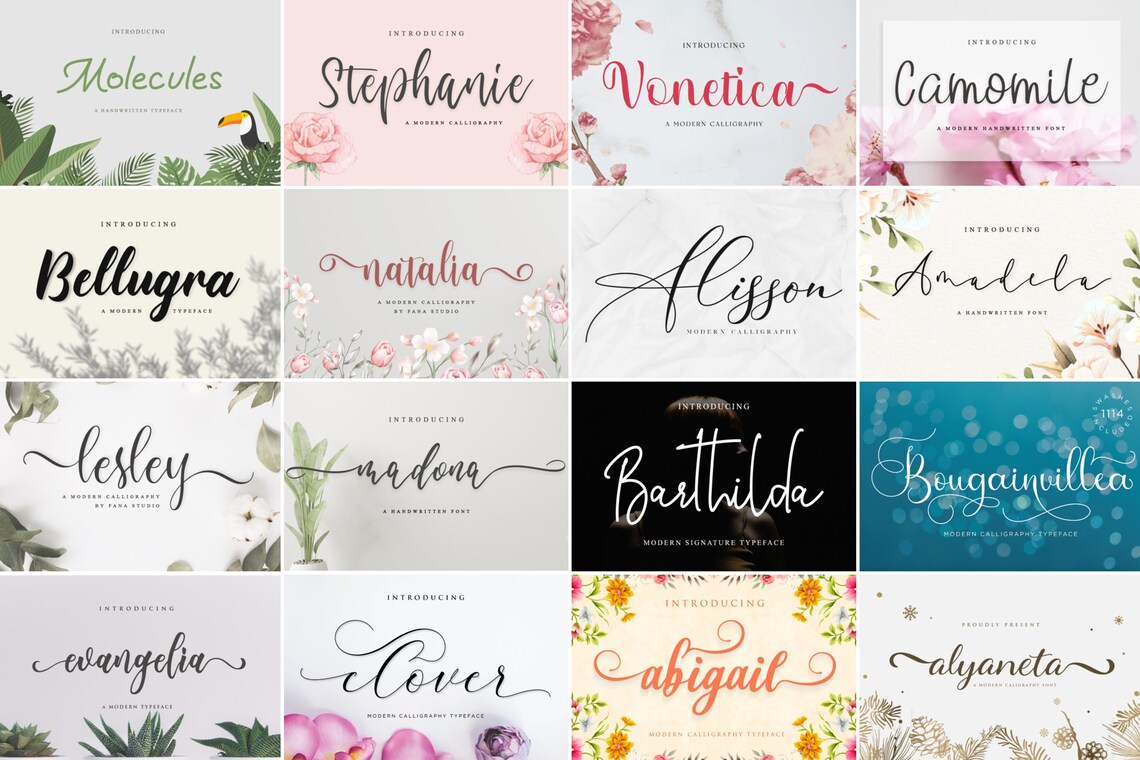 The Special Swashes Font Bundle 75+ Fonts Bundle Collection With Tails ...