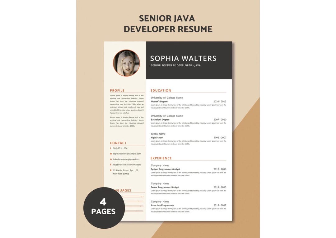 Developer Resume Template, Professional Resume Template for Word ...