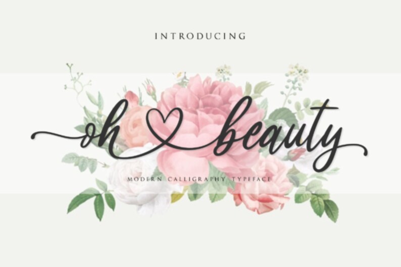 The Special Swashes Font Bundle 75 Fonts Bundle Collection - Etsy