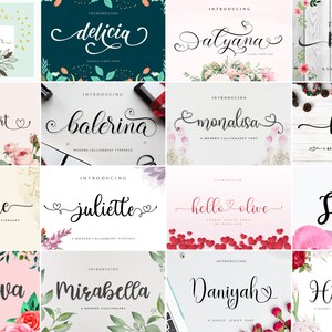 The Special Swashes Font Bundle 75+ Fonts Bundle Collection With Tails ...