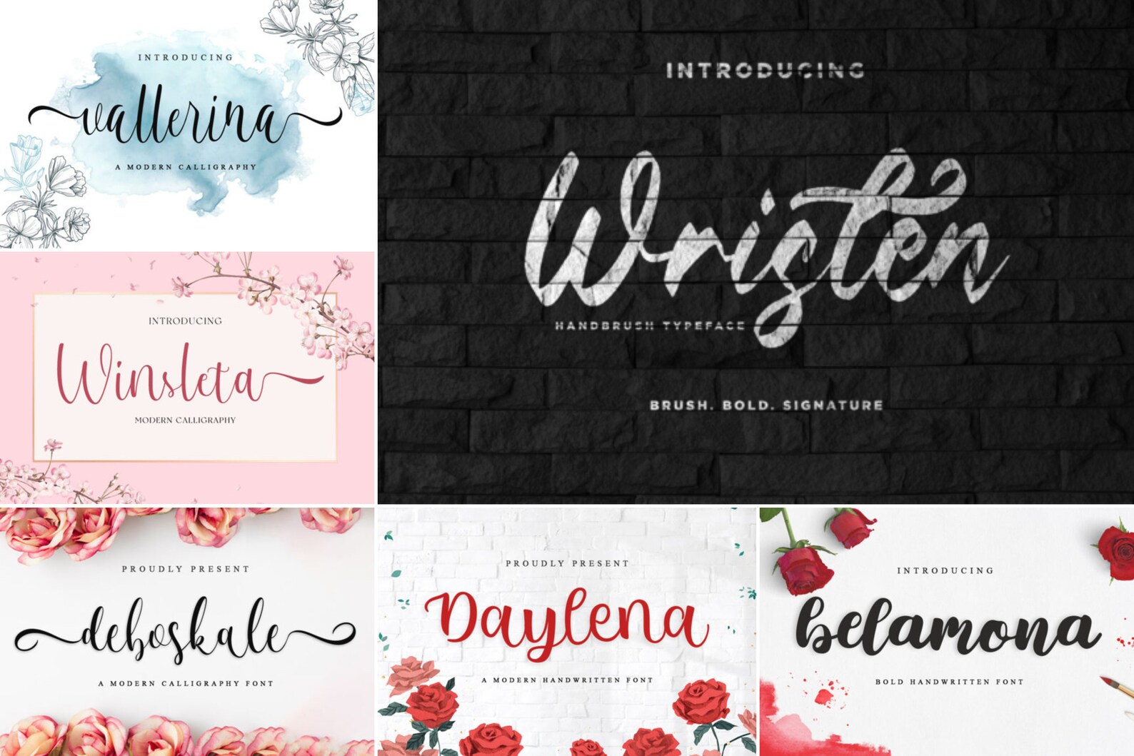 The Special Swashes Font Bundle 75+ Fonts Bundle Collection With Tails ...