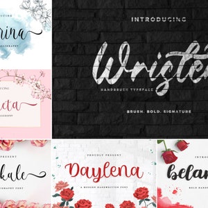 The Special Swashes Font Bundle 75+ Fonts Bundle Collection With Tails ...