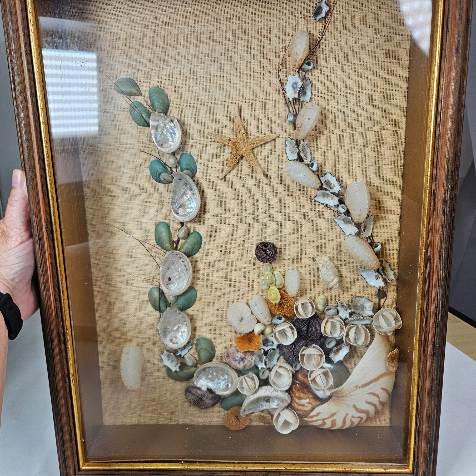 Vint Hawaiian Sea Shell Beach Tiki Folk Art Wall Shadow Box Framed ...