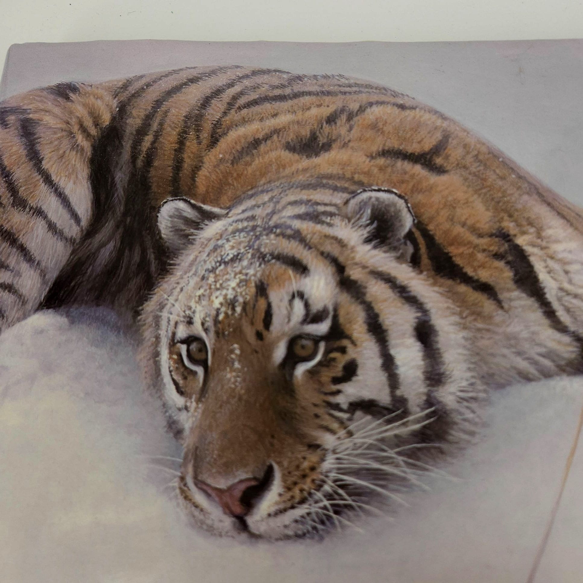 Robert Bateman Natural Worlds Photography Art Rich Archbold Hardcover ...
