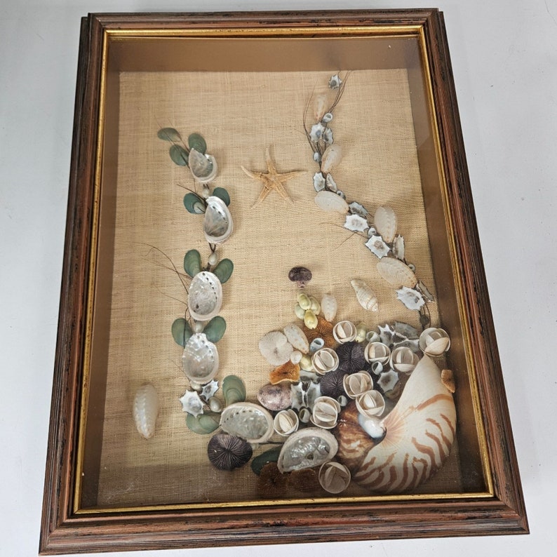 Vint Hawaiian Sea Shell Beach Tiki Folk Art Wall Shadow Box Framed ...