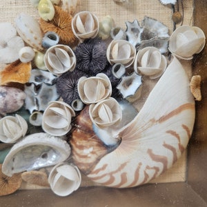 Vint Hawaiian Sea Shell Beach Tiki Folk Art Wall Shadow Box Framed ...