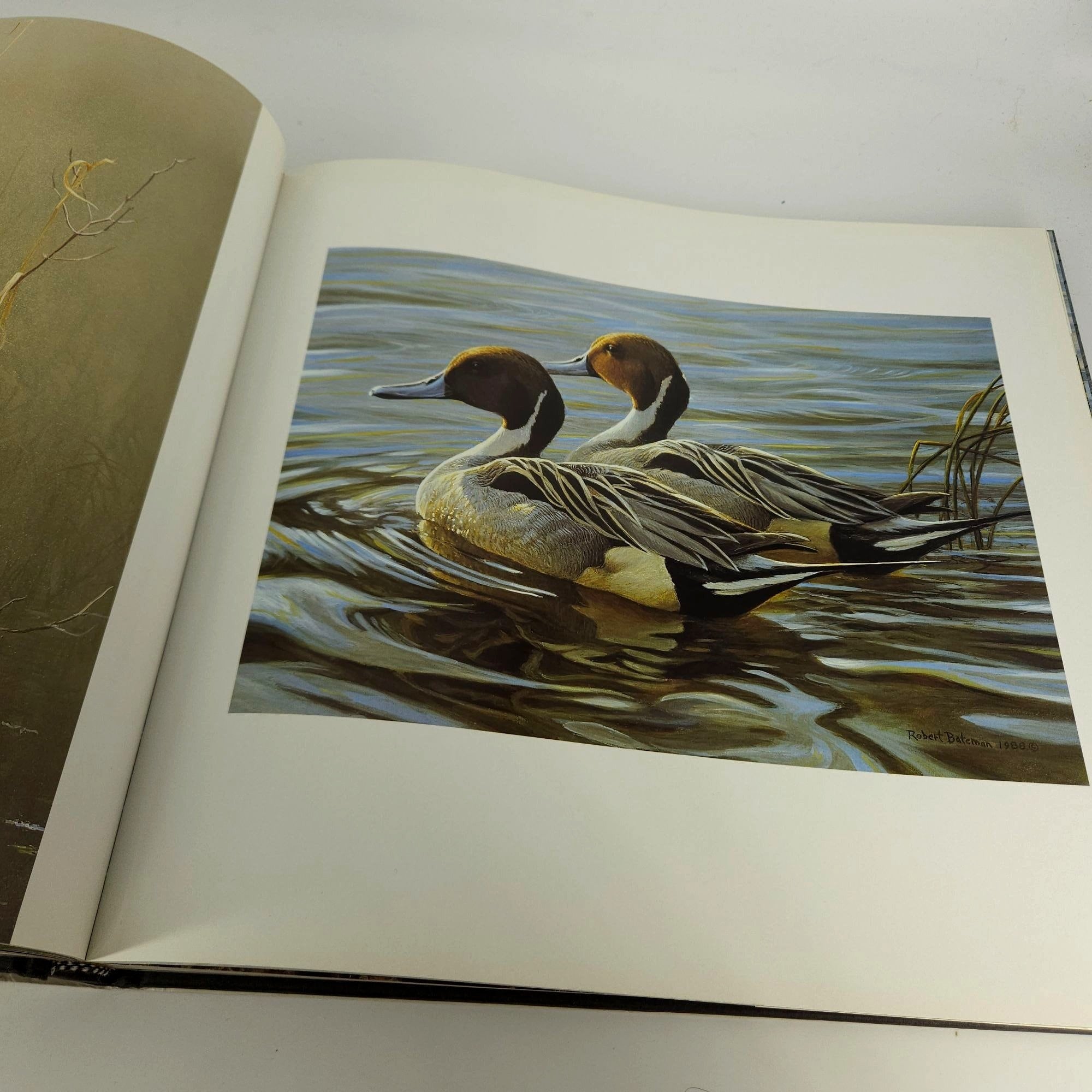Robert Bateman Natural Worlds Photography Art Rich Archbold Hardcover ...
