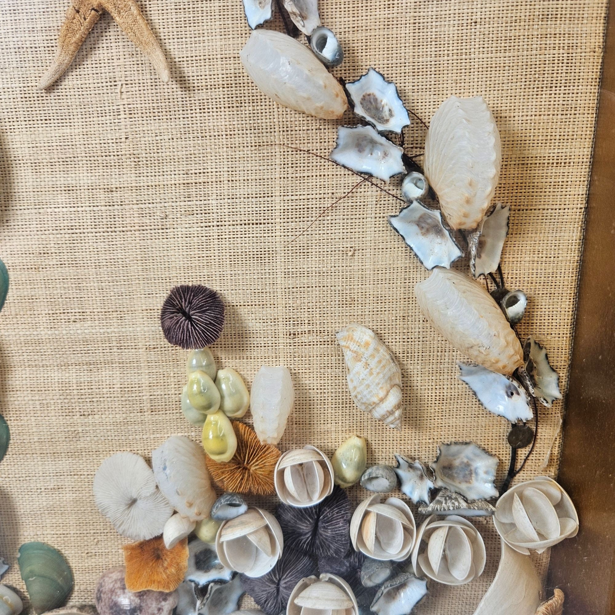 Vint Hawaiian Sea Shell Beach Tiki Folk Art Wall Shadow Box Framed ...