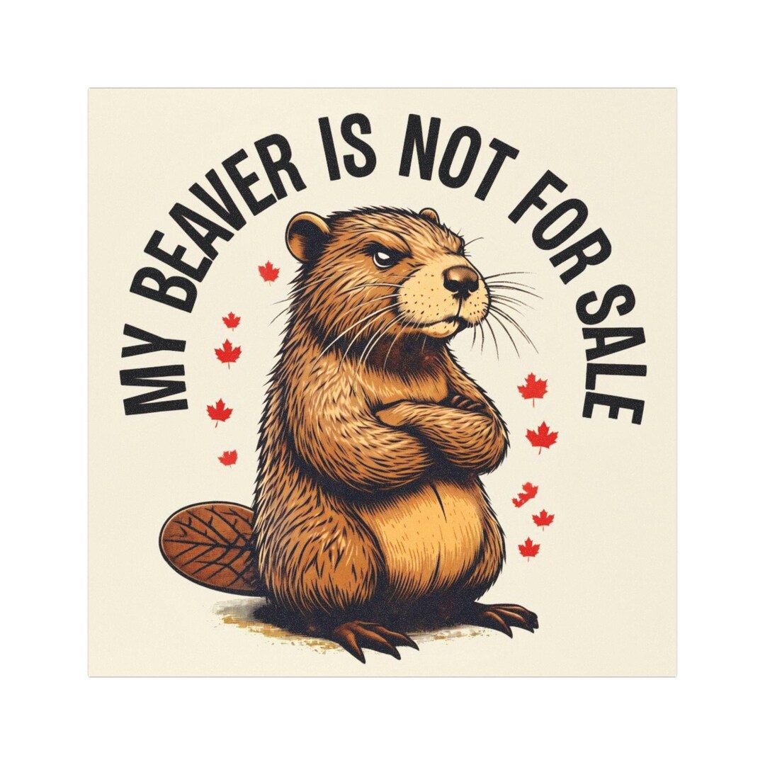 Funny Beaver Car Magnet - Sand Color Background, Not for Sale Magnet ...