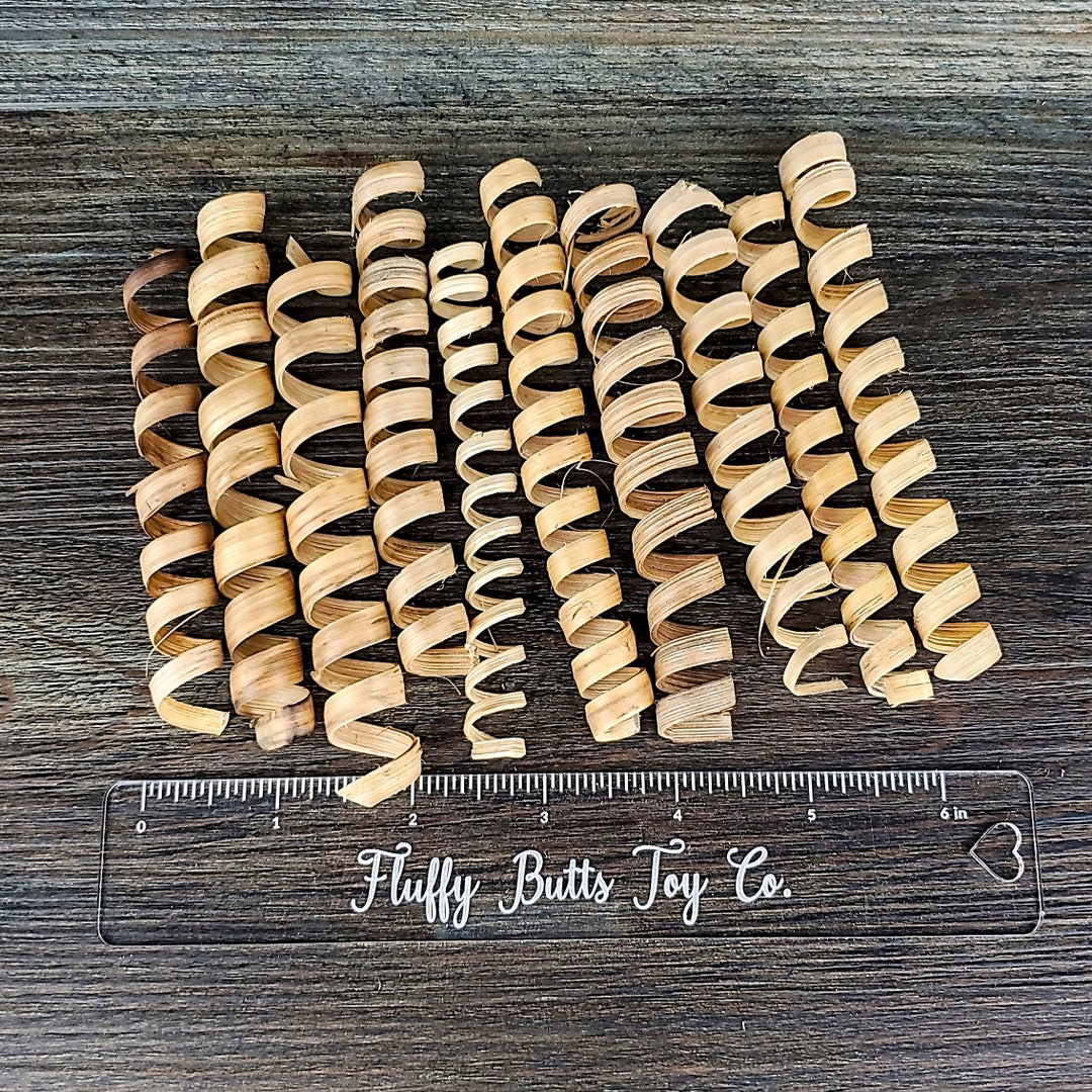 Natural Cane Springs - 10 Pack - Safe Chews for Guinea Pigs, Bunny ...