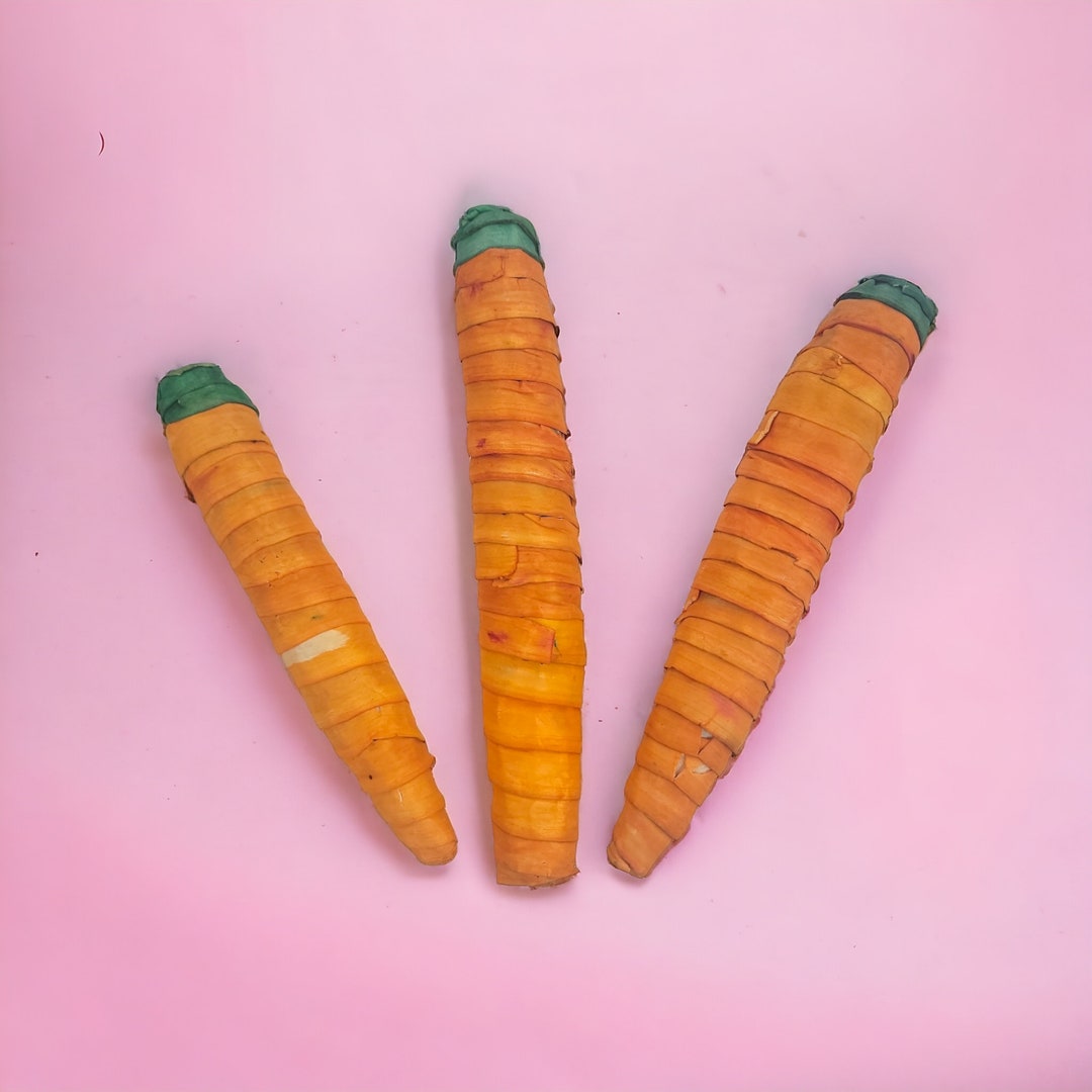 Sola Carrot Nibbler - for Small Pets - Etsy