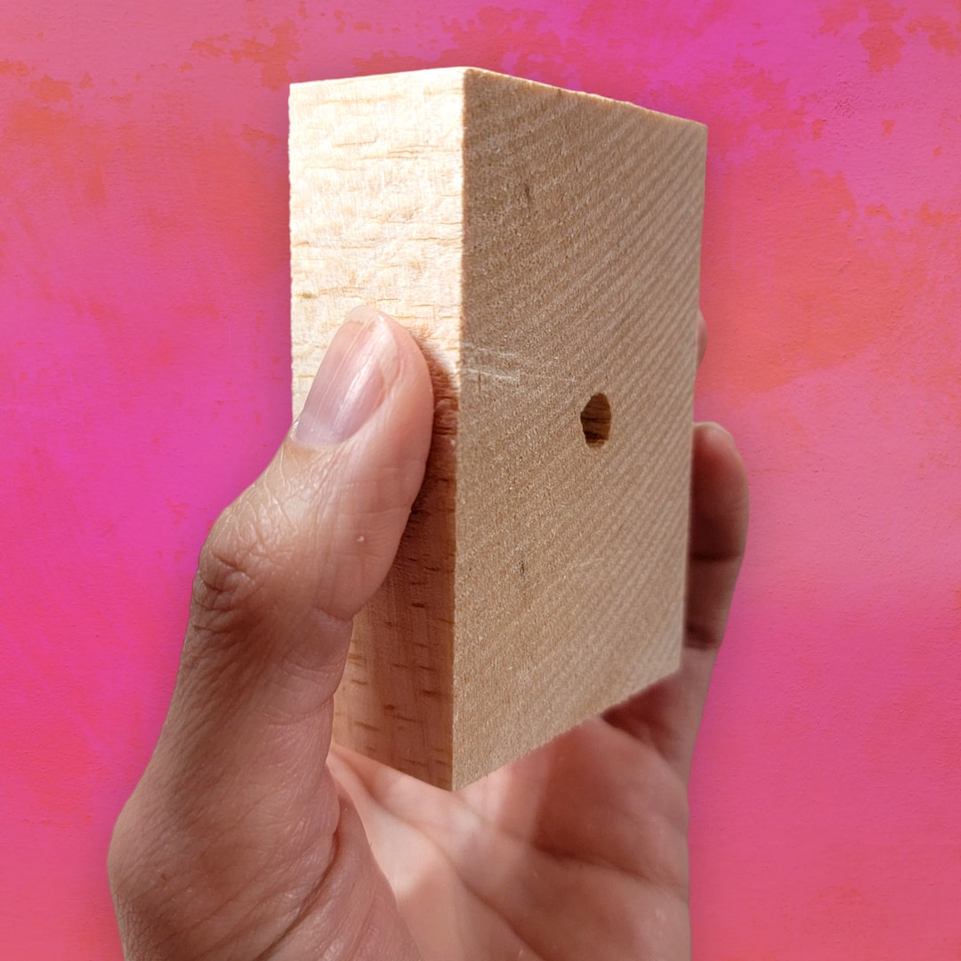 2x3" Jumbo Balsa Rectangles - 10 Pack - Safe Chews for Bunny Rabbits, Chinchillas, Rats, Guinea ...