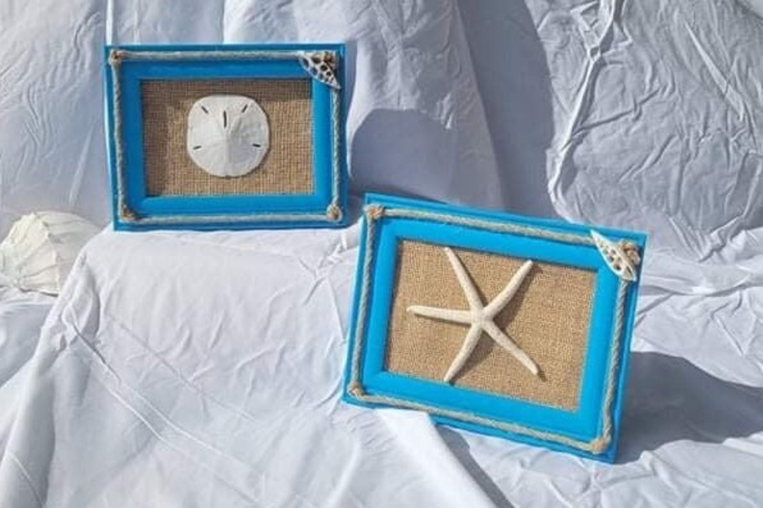 Starfish Sand Dollar Wall Art Set, Various Colors, Beach Decor, Ocean ...