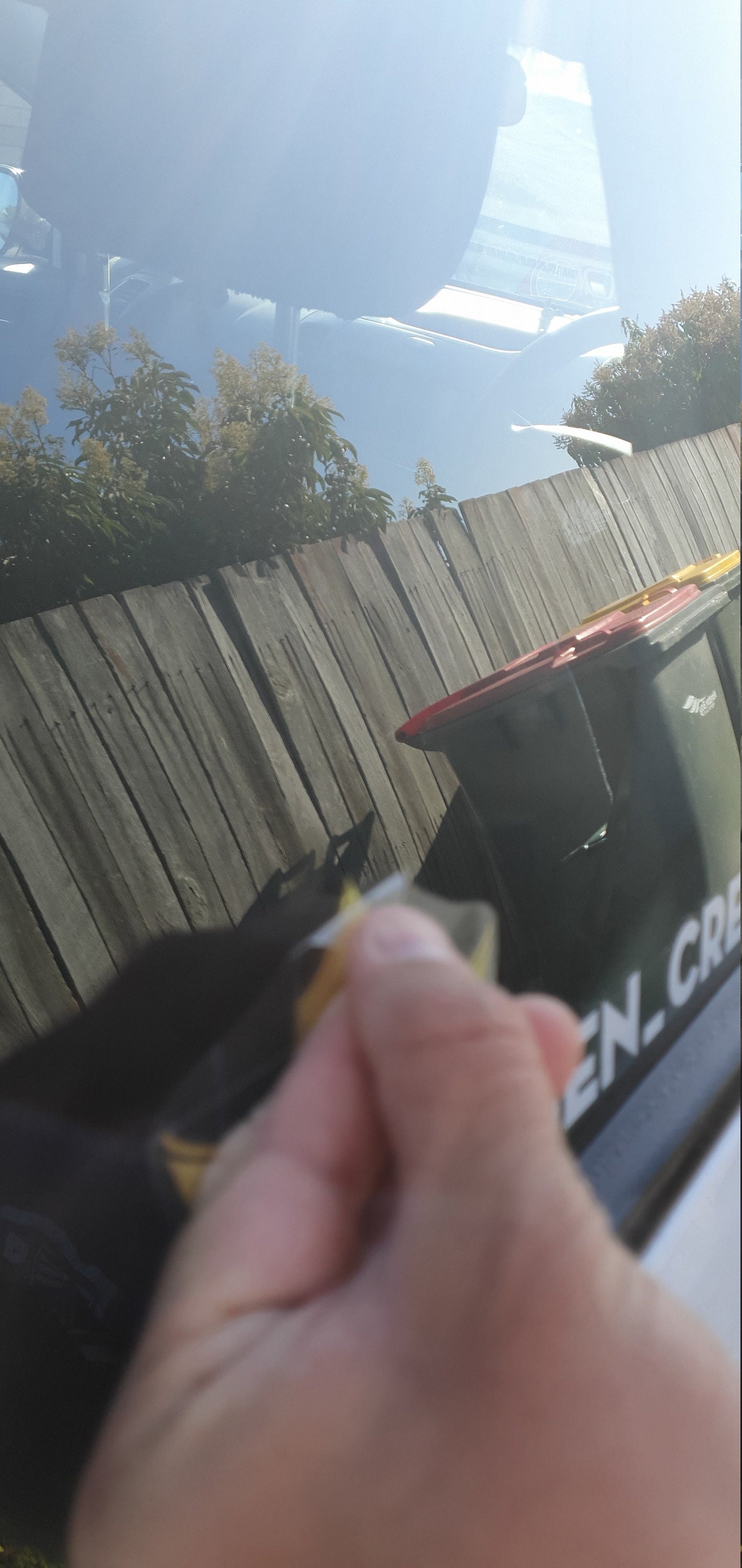 Fable 3 Crown Decal - Etsy