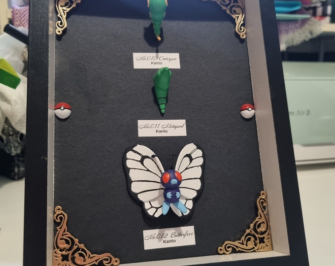 Caterpie Evolution Taxidermy Frame - Etsy