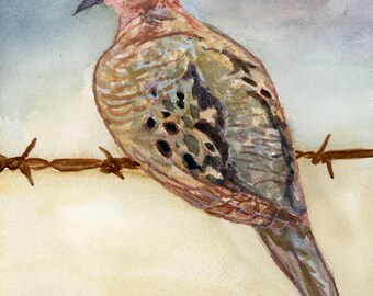 Mourning Dove - Etsy