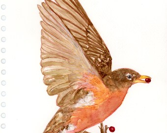 European Robin Painting - Etsy