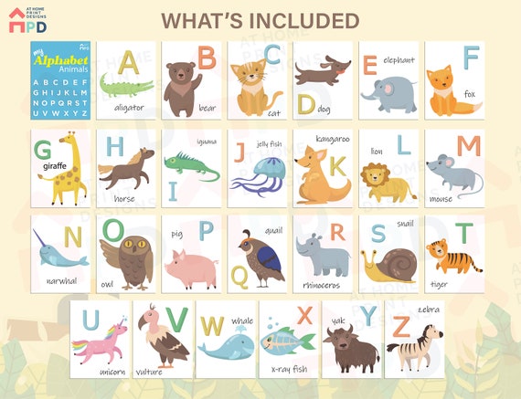 6.6ft Fishing Leader Pack Animal Alphabet Flash Cards - 26 A To Z ...