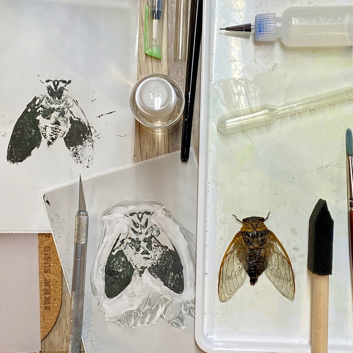 Acetone Print on Thermal Paper - Etsy UK