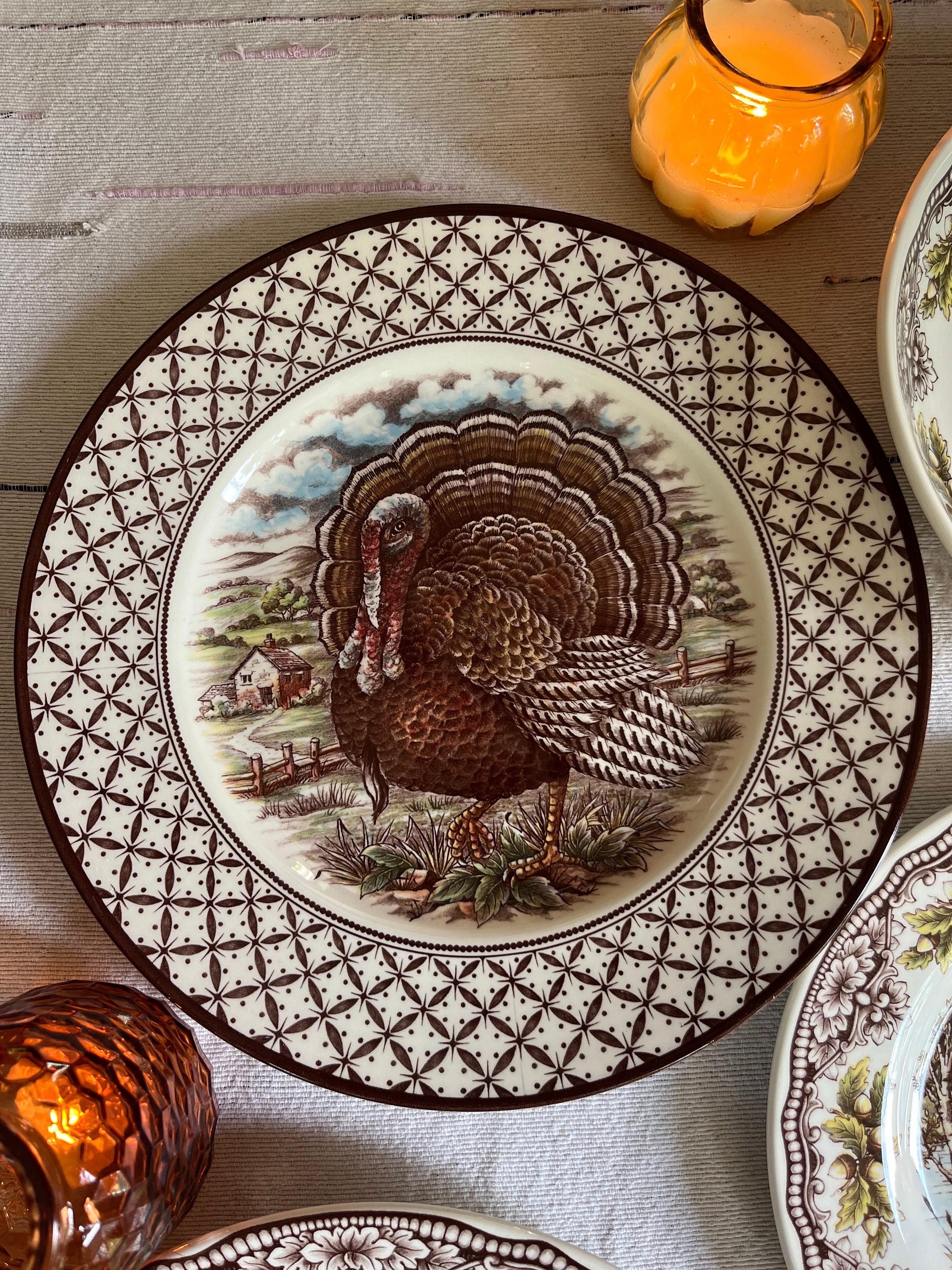 New Transferware Fall Thanksgiving Theme - Dinner Plates 11 ...