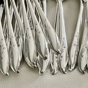 Springtime 1957 Vintage 1847 Rogers Bros Silver Plated Silverware Set ...