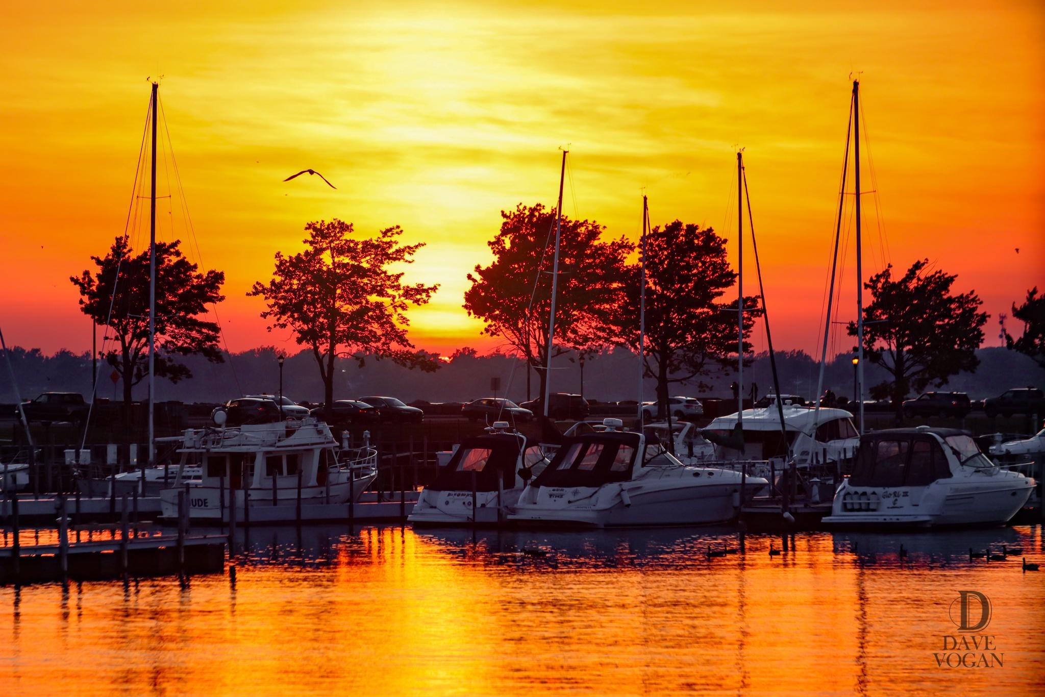 Buffalo NY Erie Basin Marina Sunset Print Canvas - Etsy