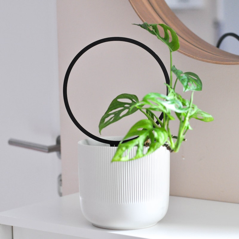 Circle Trellis - Etsy UK