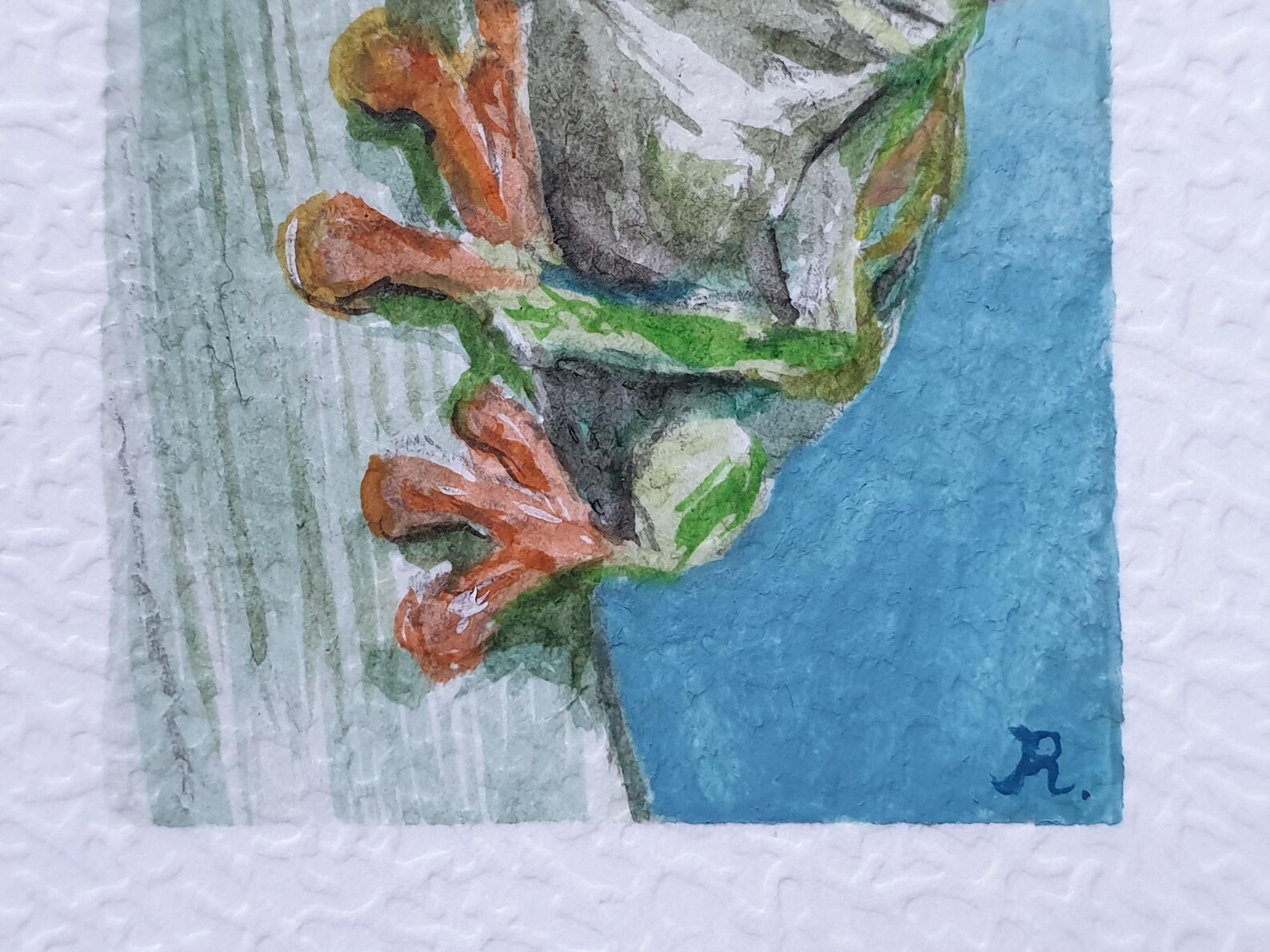 Red-eyed Tree Frog Miniature Watercolor Painting ~ Tiny Frog Art ...