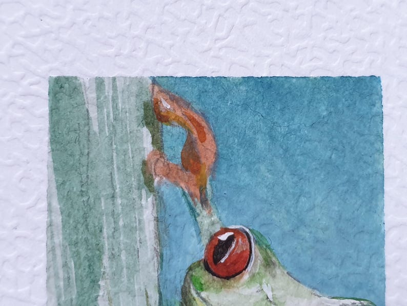 Red-eyed Tree Frog Miniature Watercolor Painting ~ Tiny Frog Art ...