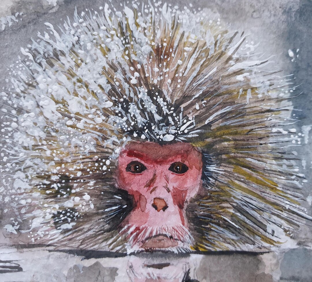 Japanese Macaque Miniature Watercolor Painting ~ Artwork Incl Frame ...