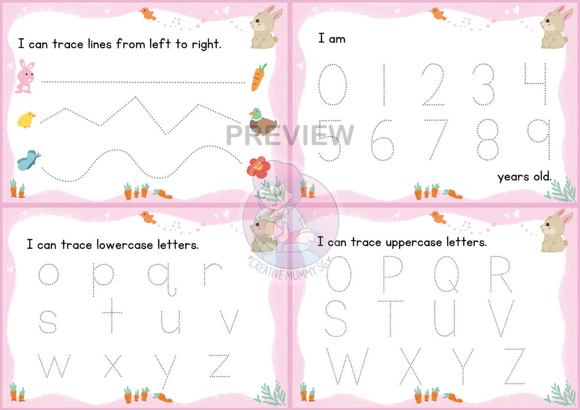 Printable Personalized Reusable Tracing Activity for Toddlers (4 Themes ...