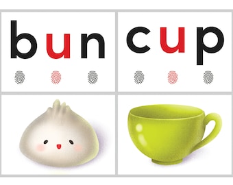 Cvc Flash Cards - Etsy