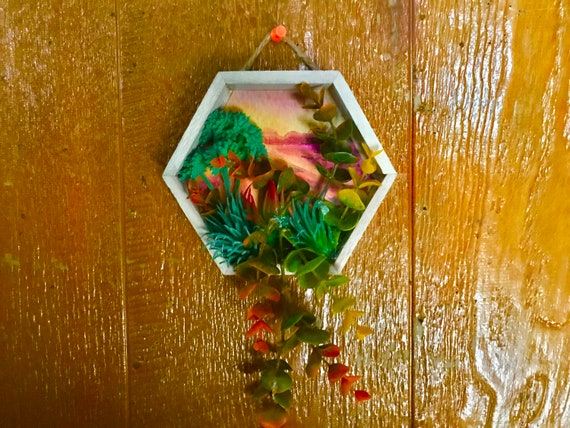 Mini Succulents Hexagon Shadow Box - Etsy