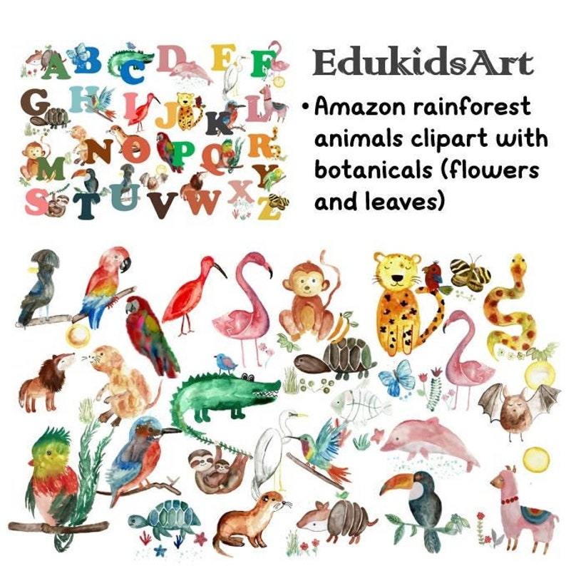 Amazon rainforest animals clipart tropical plants watercolour - Etsy.de